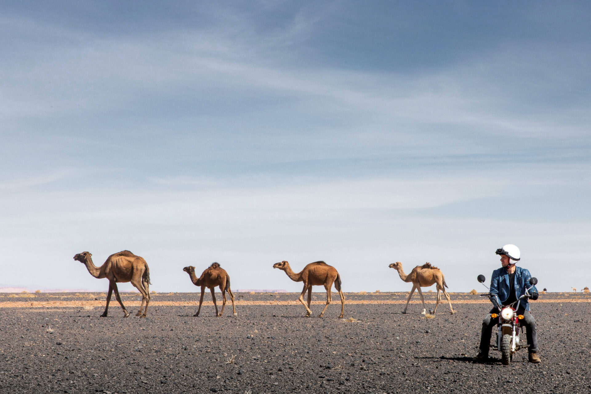 The Details: Monkey Run Morocco - The Adventurists